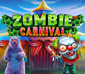 Terms and Conditions