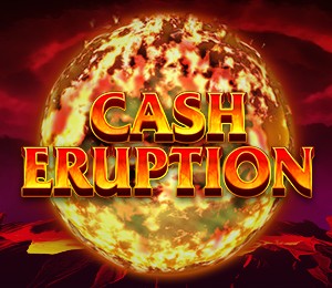 Terms and Conditions